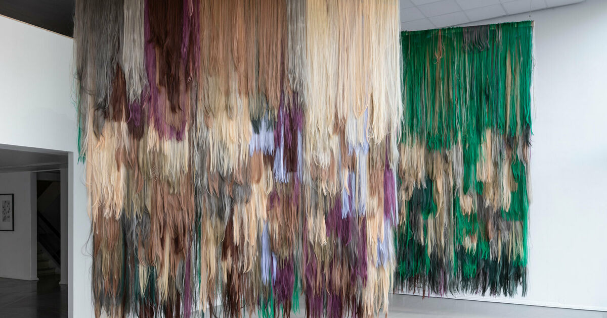 Årringer | Trøndelag senter for samtidskunst